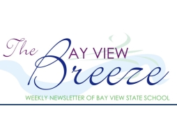Newsletters